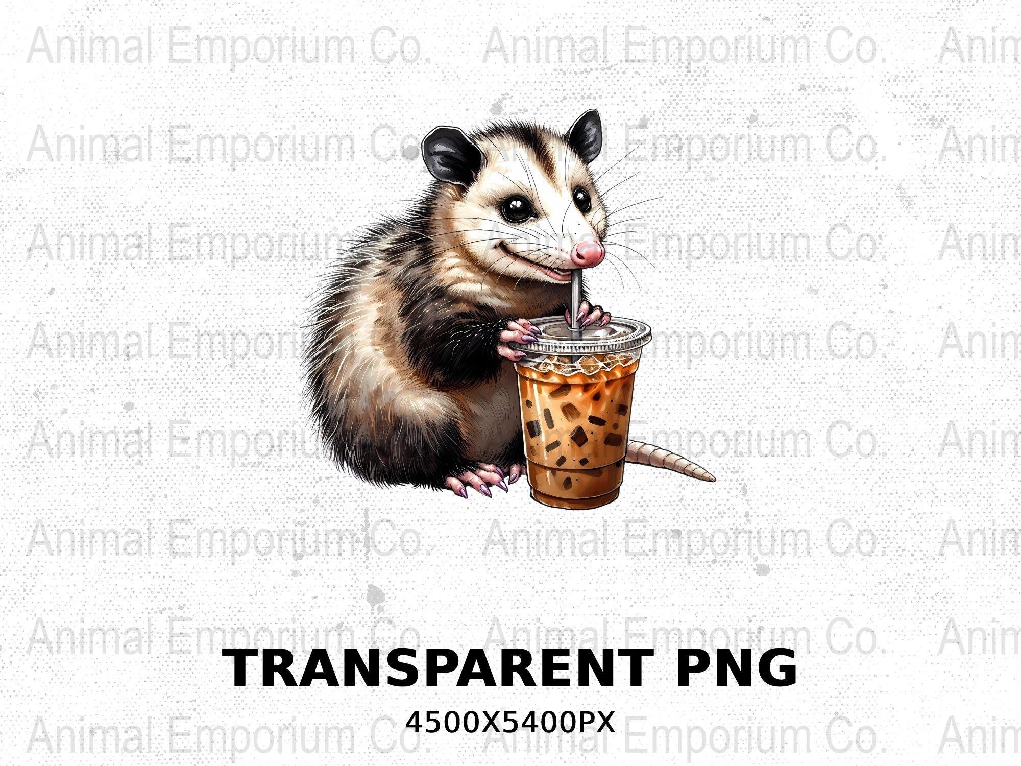 Possum Drinking Coffee PNG Shirt Sublimation Design, Digital Download ...