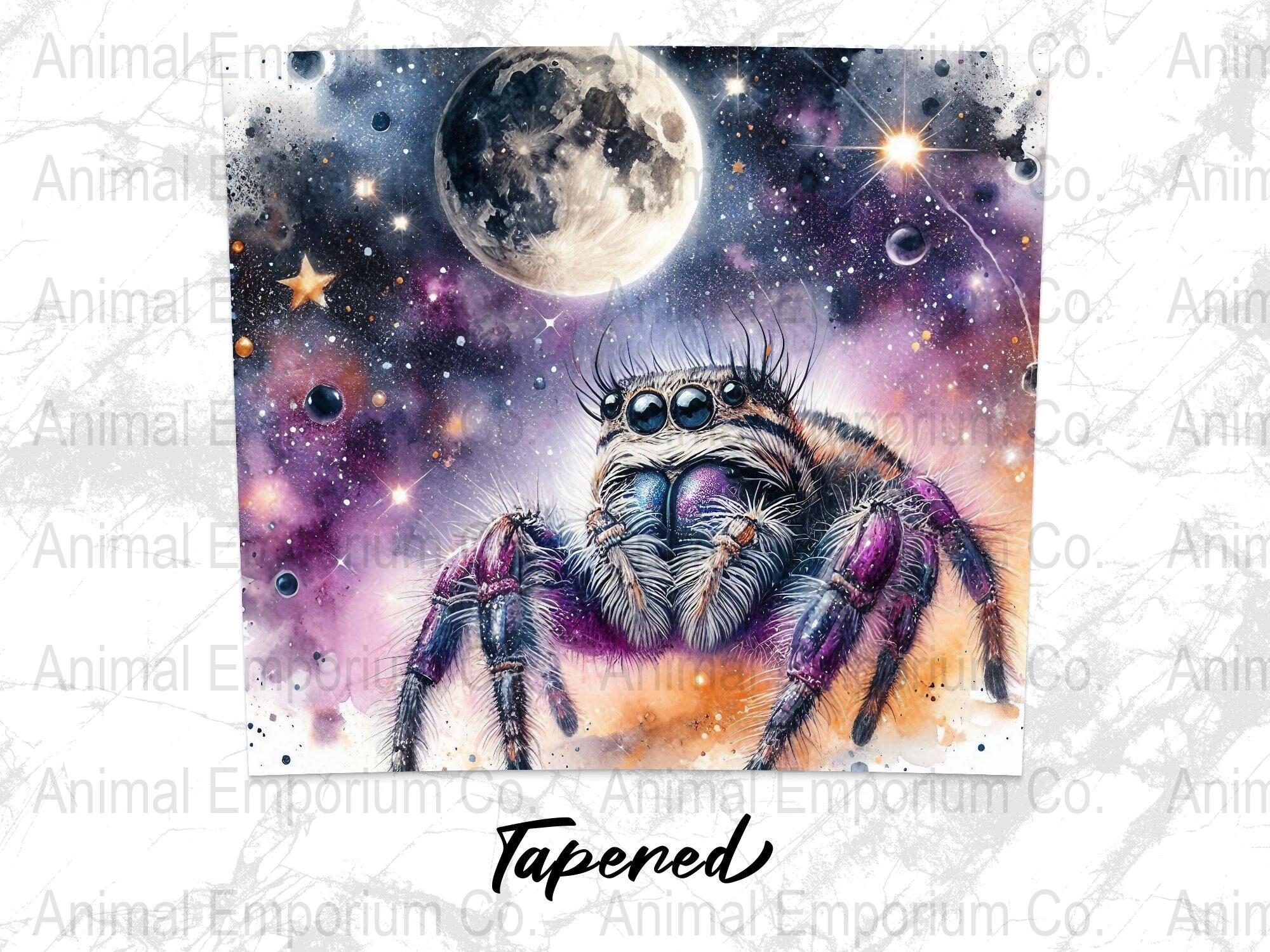 Jumping Spider PNG Wrap, Celestial Night Sky Salticids, Mystical Moon ...