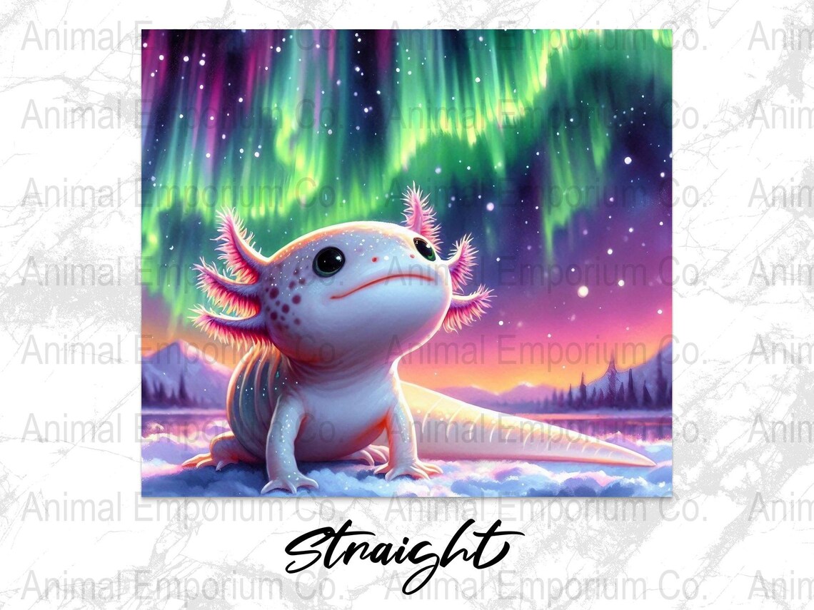 Axolotl Northern Lights PNG Wrap, Salamander Aurora Borealis Digital ...