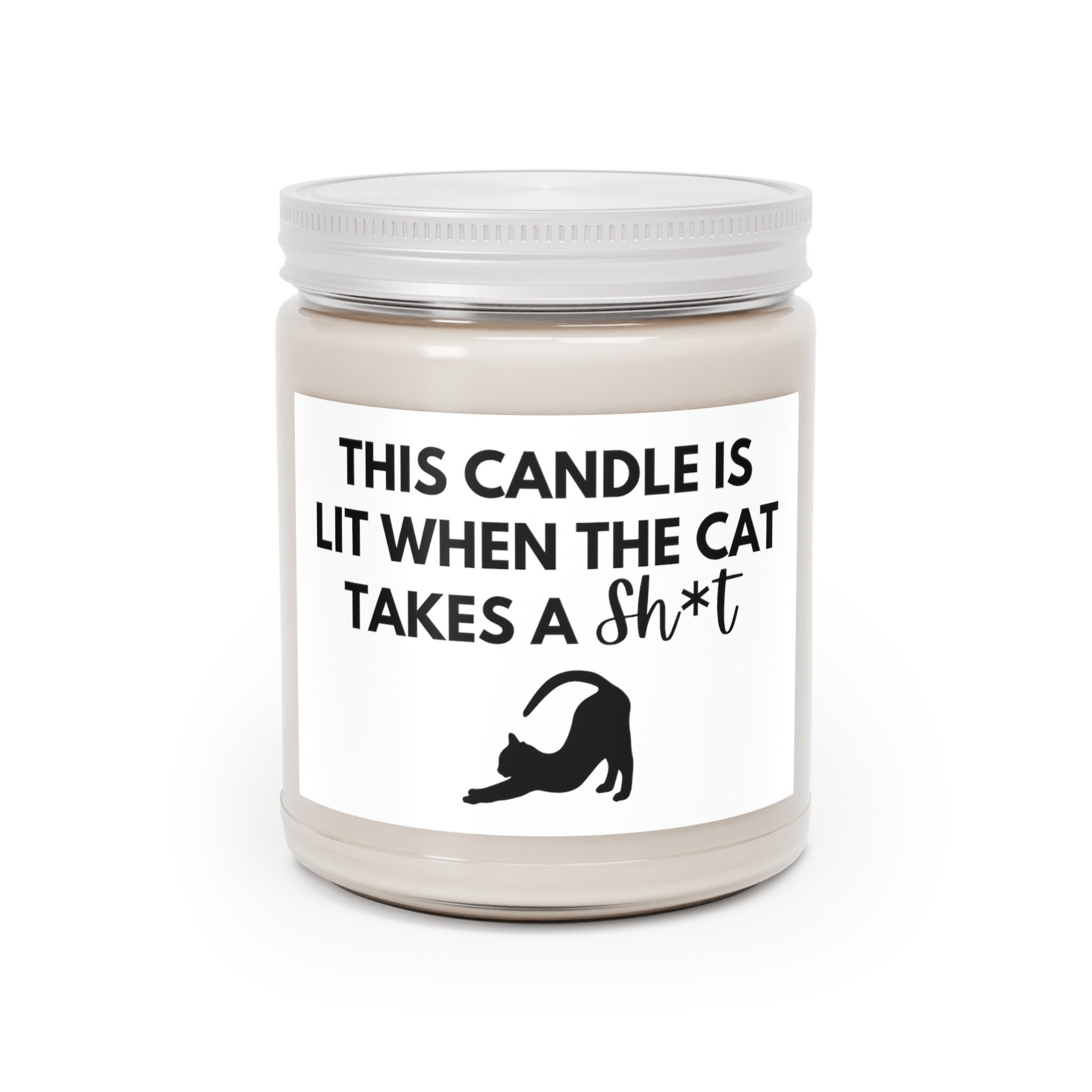 Funny Scented Cat Candle for Cat Mom, Humorous Cat Dad Candle, Gag ...