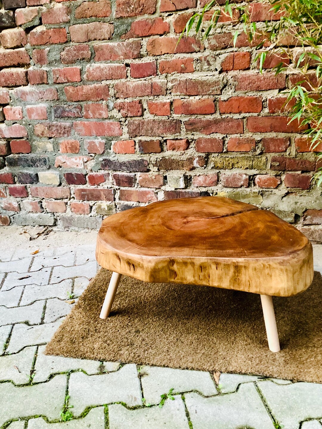 Rare Plane Tree Coffee Table Solid Wood Tree Disc - Etsy