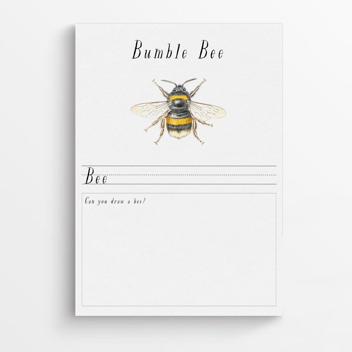 Bee Themed Worksheets for Nursery, Reception, Kindergarten, KS1 - Etsy