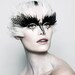 1 Set of Black Swan Makeup Materials Black Feather, Black Face Paint ...