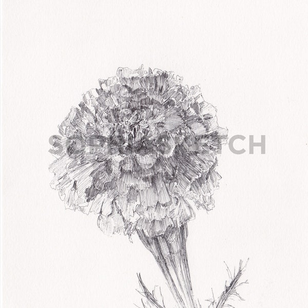 Fine Line Detail - Etsy