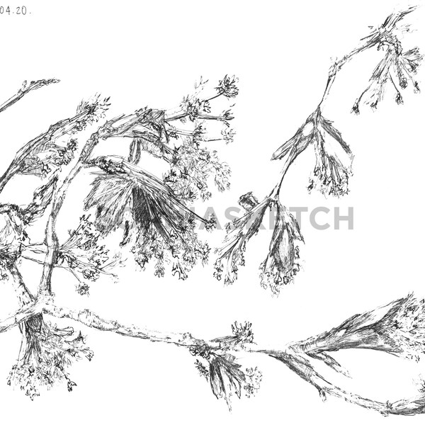 Fine Line Tree Tattoo - Etsy