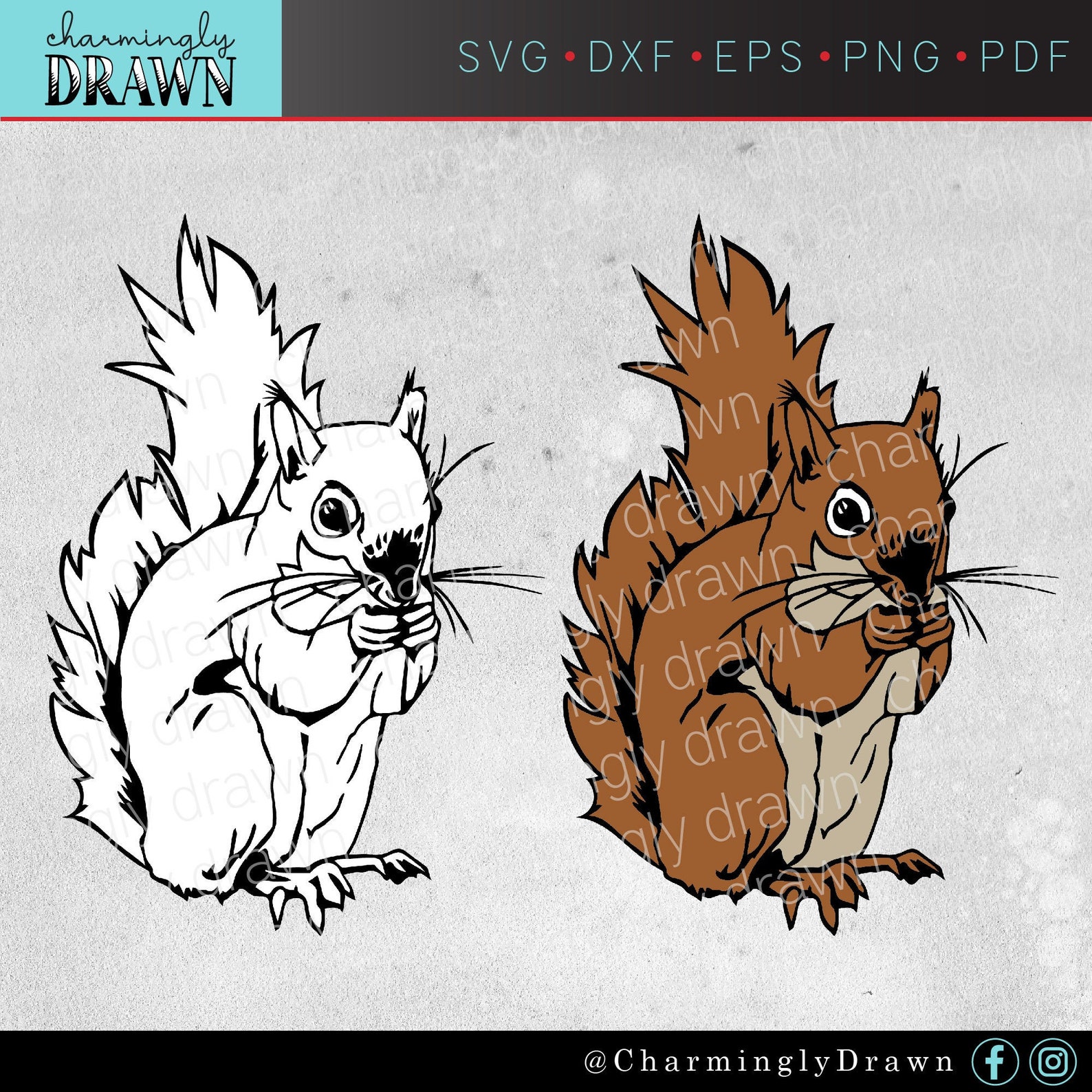 Squirrel SVG Squirrel Clip Art Squirrel Decor Farmhouse - Etsy