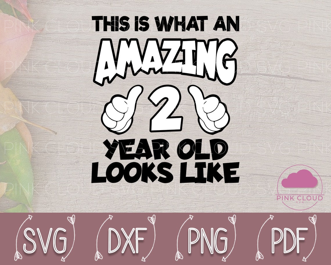 Two Year Old Birthday Svg 2nd Birthday Boy 2nd Birthday - Etsy