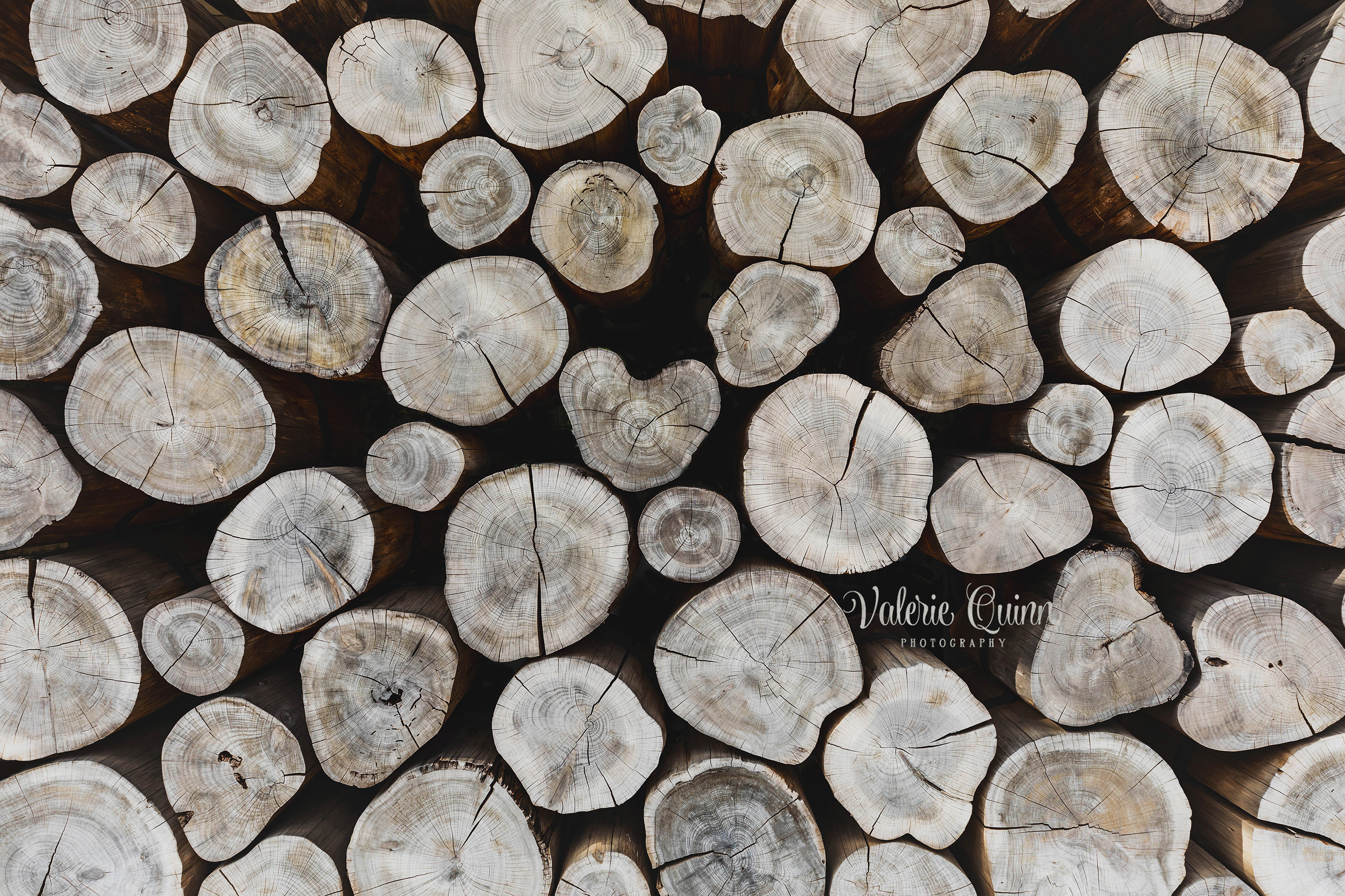 Wood Stack, Wood Stack Photo, Winter Photo, Firewood Photo, Printable ...