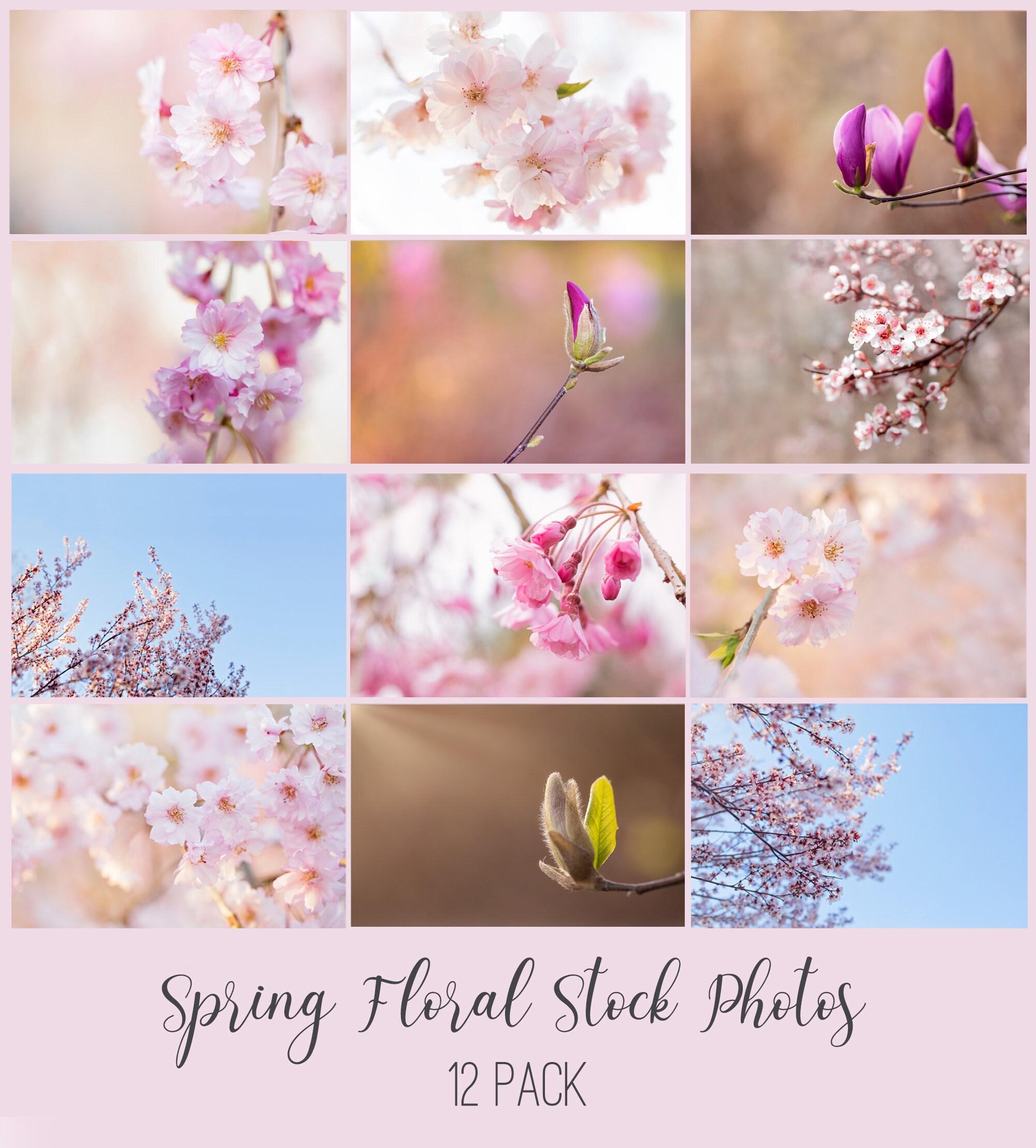 Stock Photos, Stock Photo Bundle, High Resolution Stock Photos, Stock ...