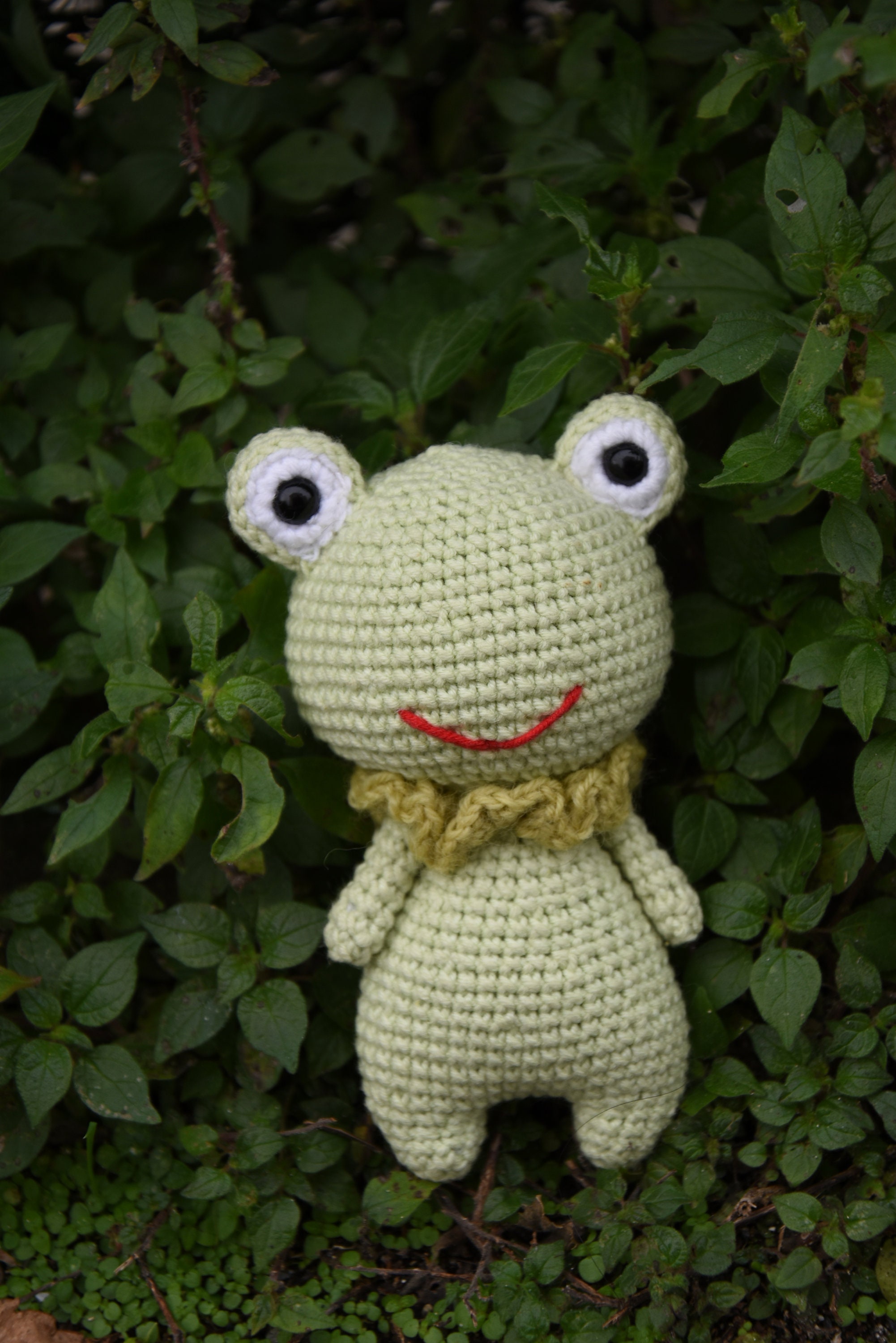 Frog, Green Frog, Little Toad, Souvenir, Knitted Frog, Frog and Toad ...