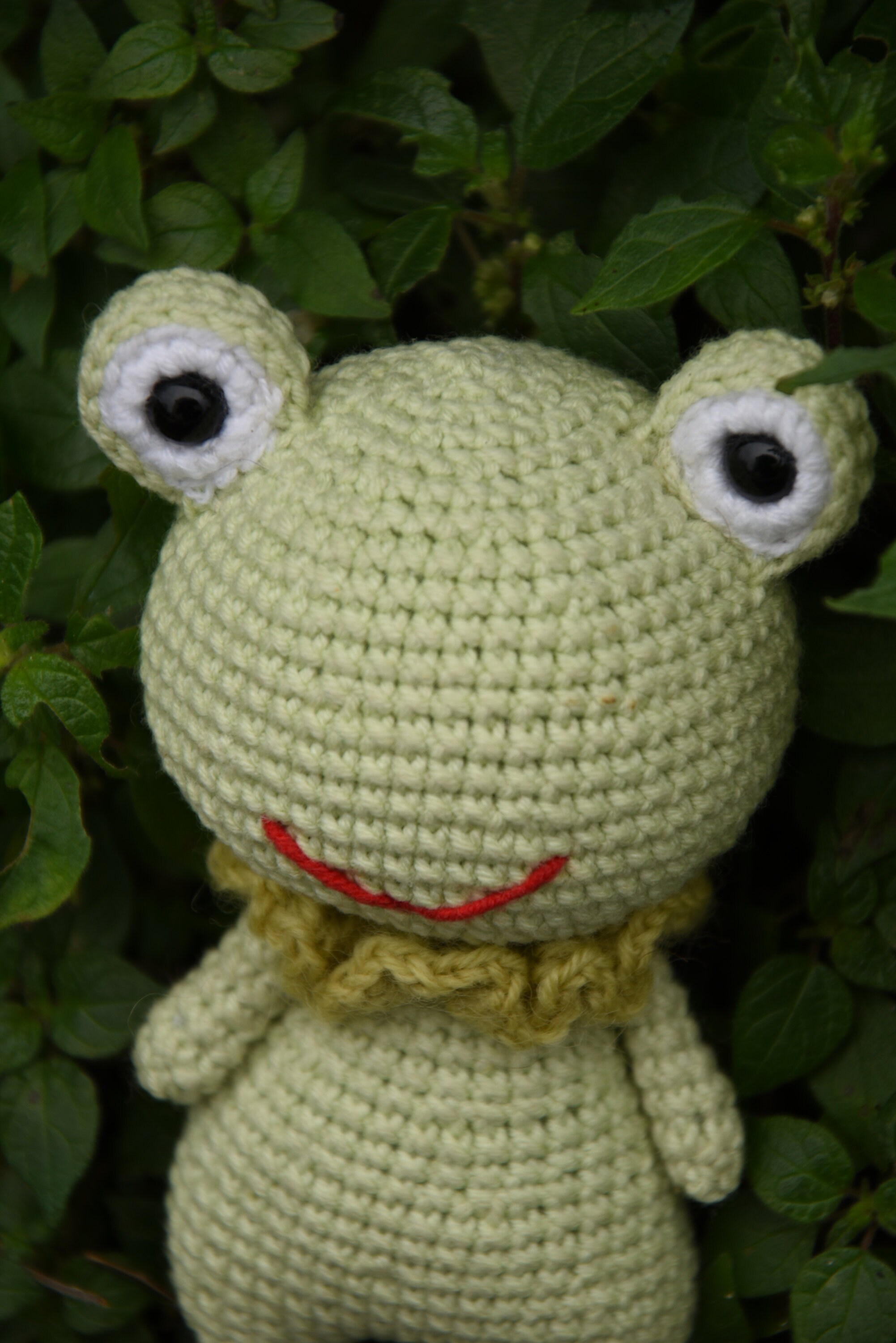 Frog, Green Frog, Little Toad, Souvenir, Knitted Frog, Frog and Toad ...