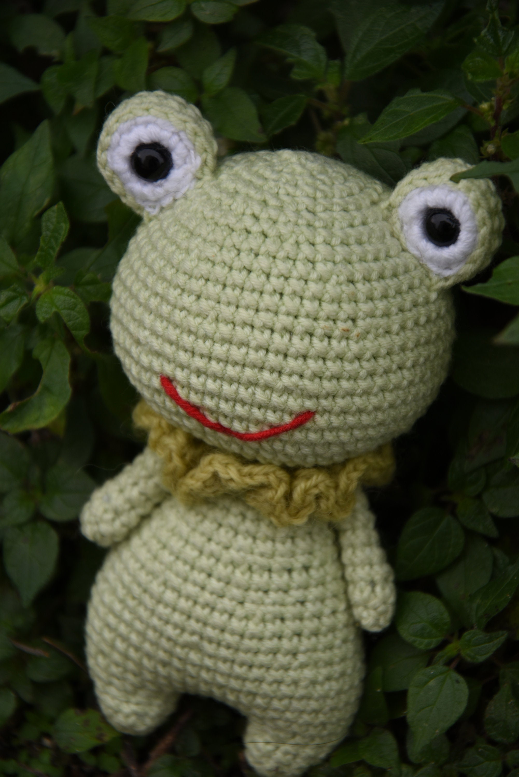 Frog, Green Frog, Little Toad, Souvenir, Knitted Frog, Frog and Toad ...