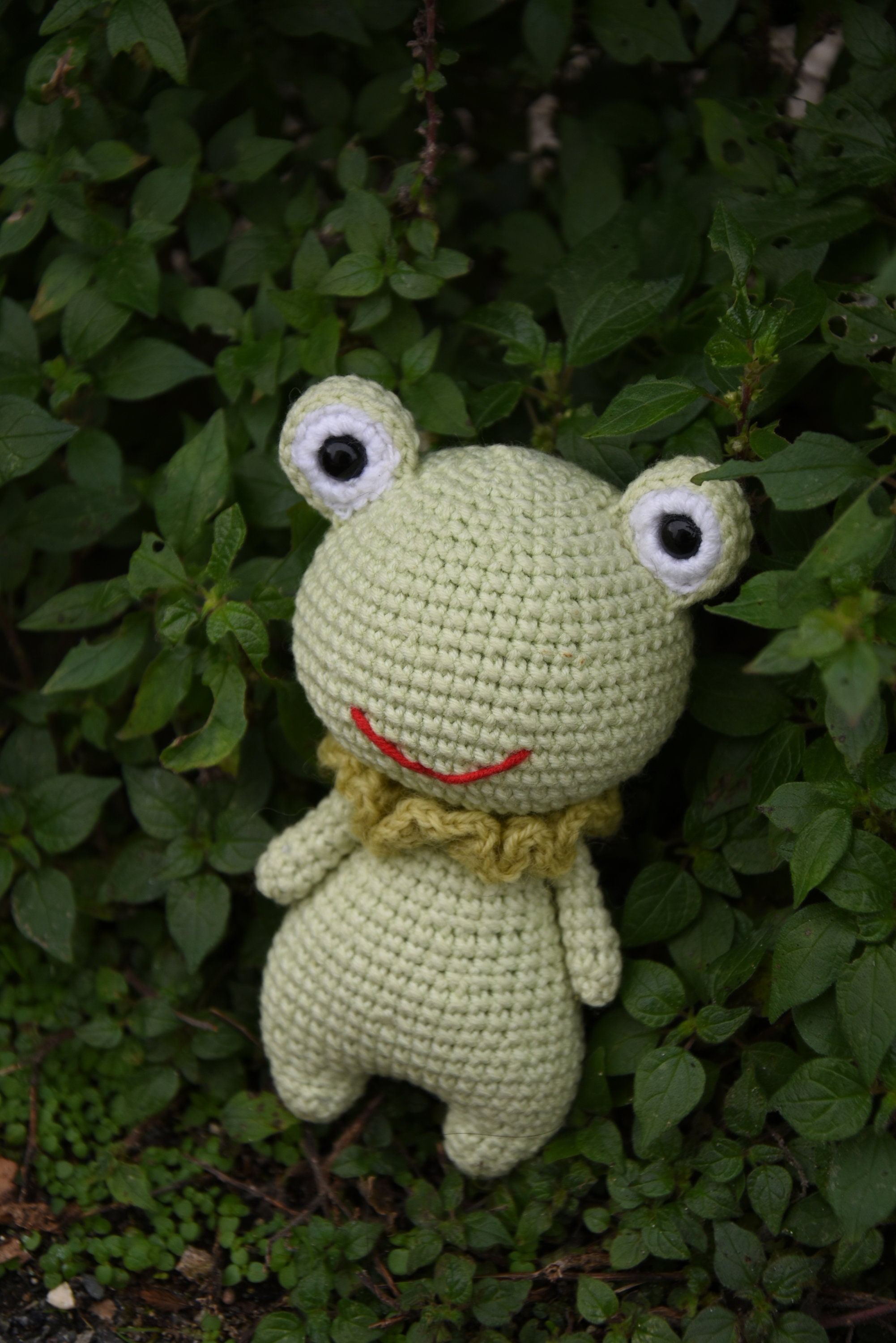 Frog, Green Frog, Little Toad, Souvenir, Knitted Frog, Frog and Toad ...