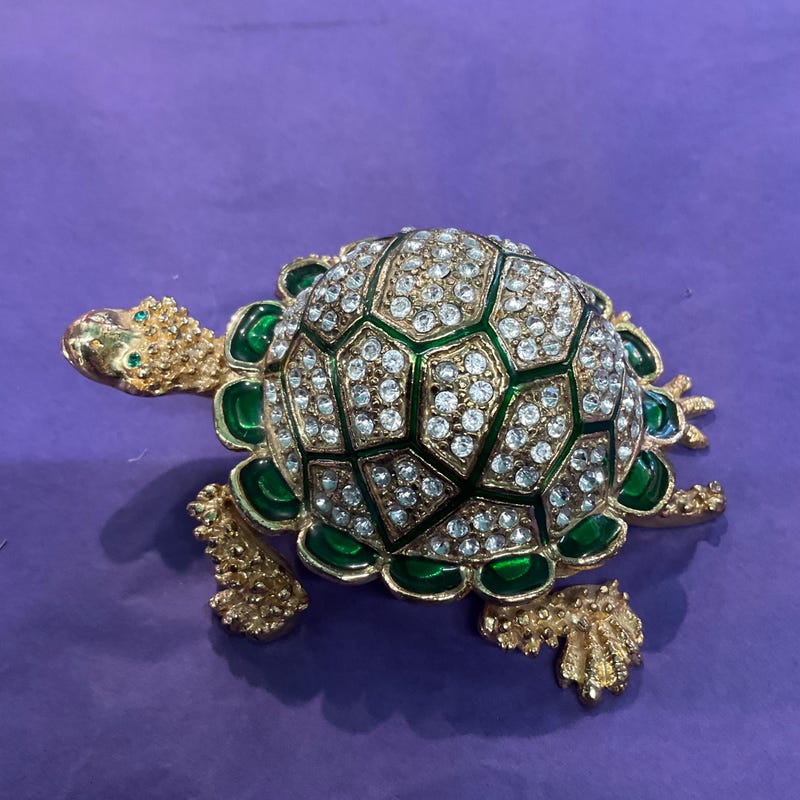 Turtle Gifts - 60+ Gift Ideas for 2025
