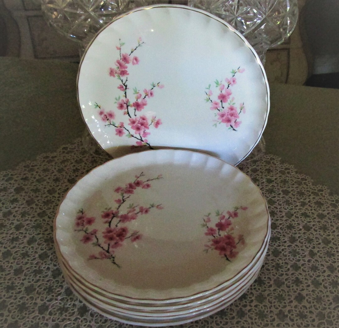 Set of SIX W.S. George Peach Blossom Bolero Luncheon/dinner - Etsy
