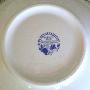 Vintage Portmeirion Harvest Blue, 13" Pasta Serving Bowl, Dutch Delft ...