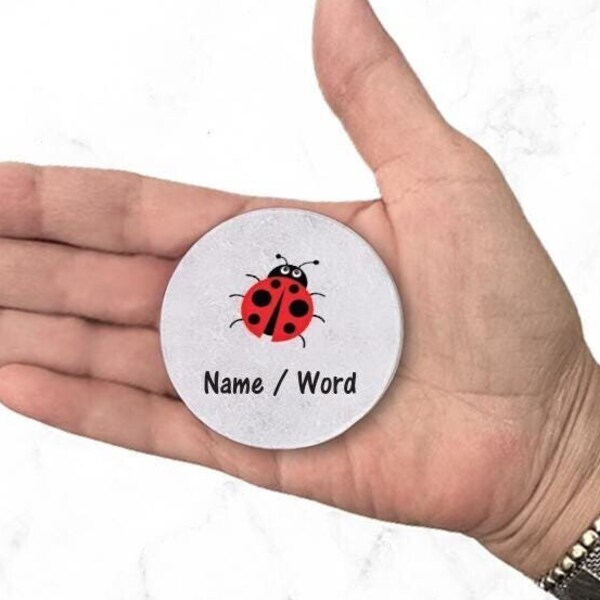 Lady Bug Rocks - Etsy