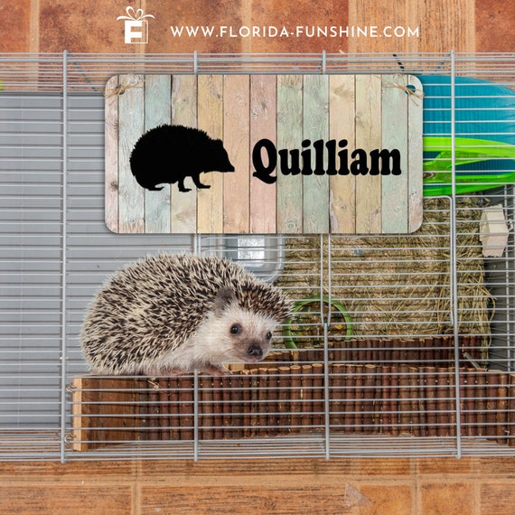 Custom Hedgehog Cage