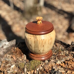 Wood Container, Wood Art, Spalted Maple & Sapele - Etsy