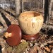 Wood Container Wood Art Spalted Maple & Sapele - Etsy