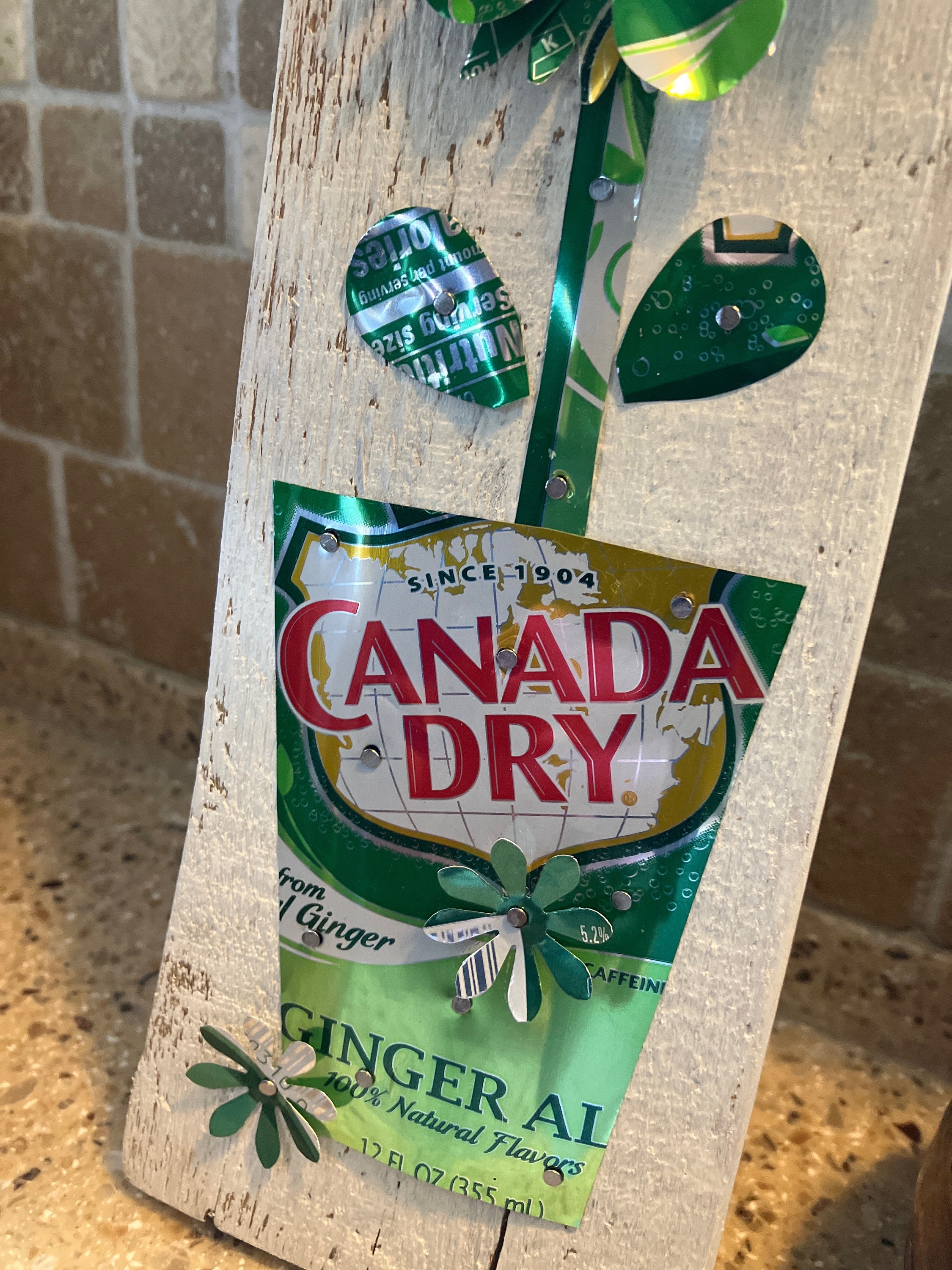 Canada Dry Soda Can Art Pot of Flowers Sign - Etsy