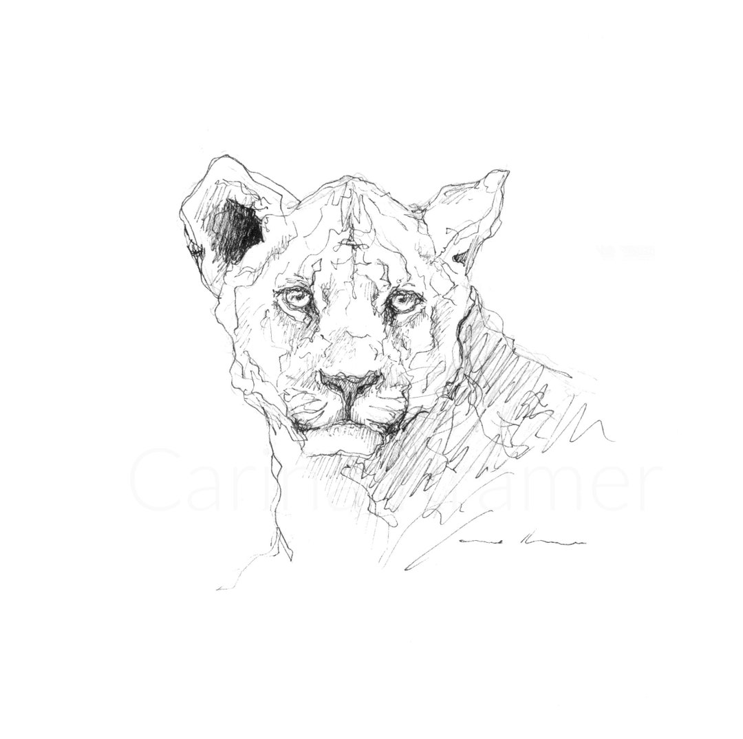 Lion Cub - Original Pen Drawing of a Baby Lion With Copic Pens on ...