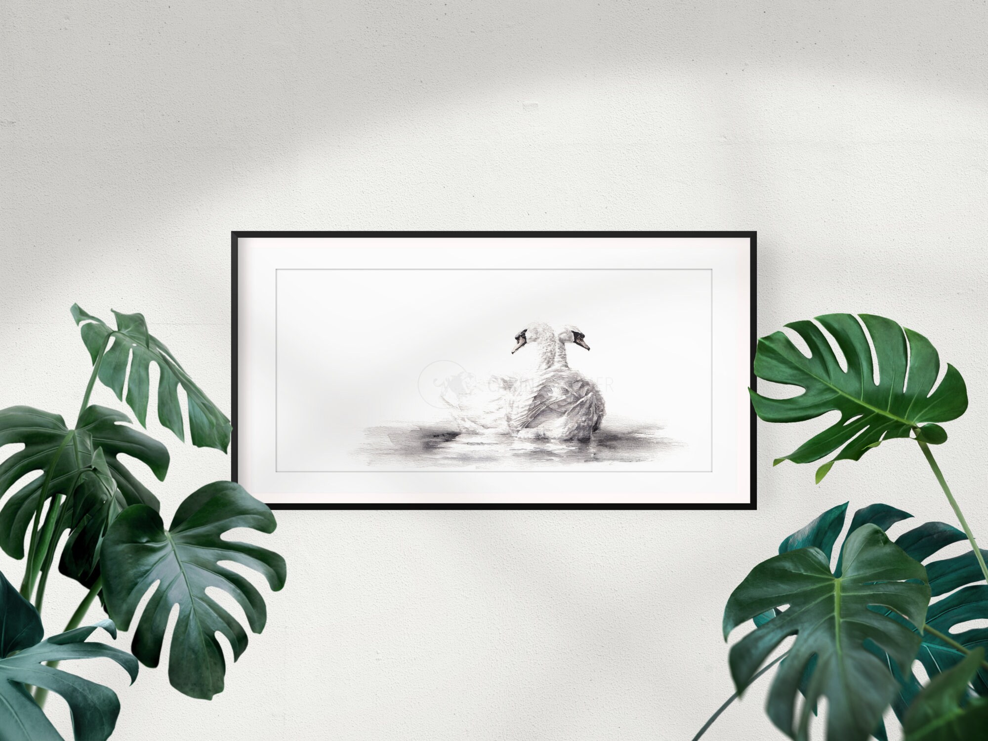 Feathery Graces Swan Watercolour Painting Swan Wall Art Wildlife Art ...