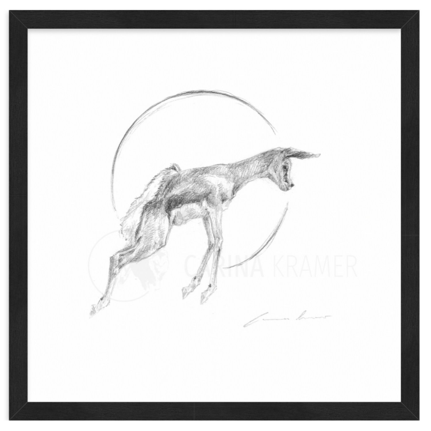 Springbok Original Pencil Drawing Contemporary African Art - Etsy