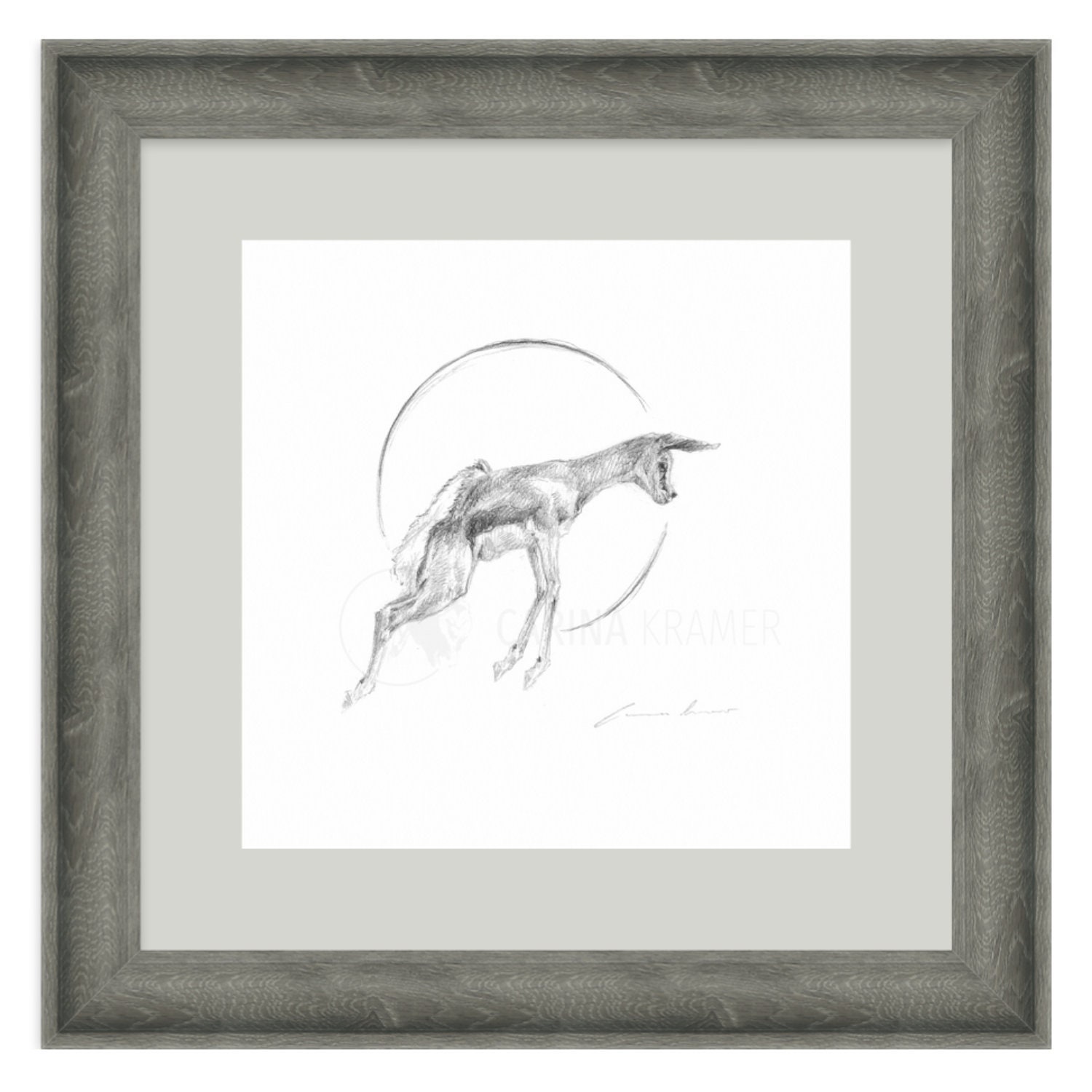 Springbok Original Pencil Drawing Contemporary African Art - Etsy