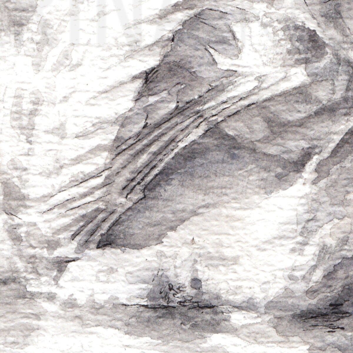Feathery Graces Swan Watercolour Painting Swan Wall Art Wildlife Art ...
