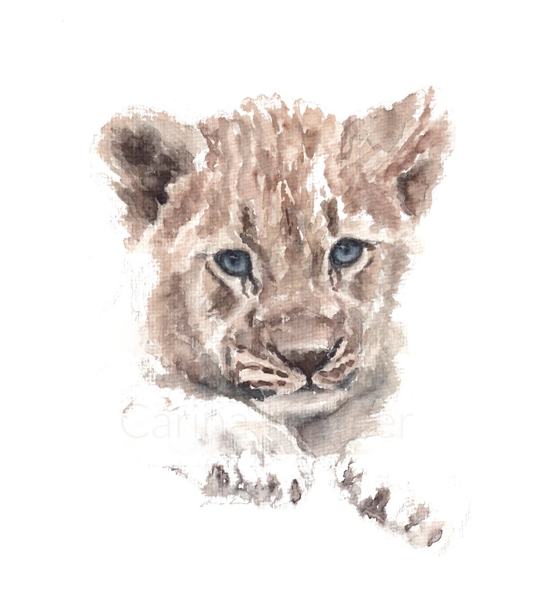 Sweet - Lion Cub Watercolour Painting, Framed Artwork - Safari Art ...