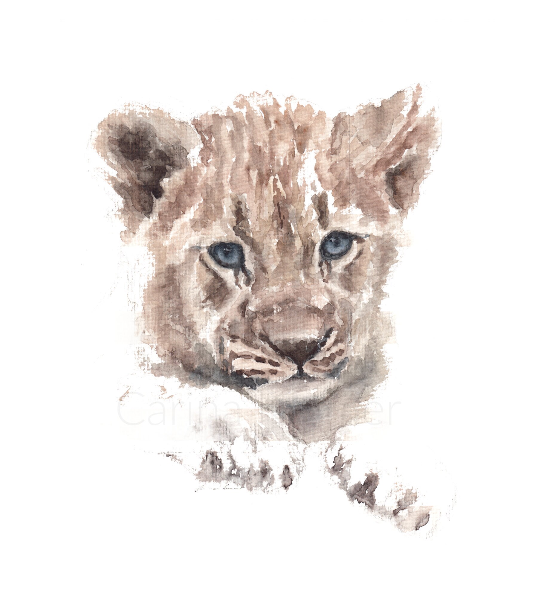 Sweet Lion Cub Watercolour Painting, Framed Artwork Safari Art Wildlife ...