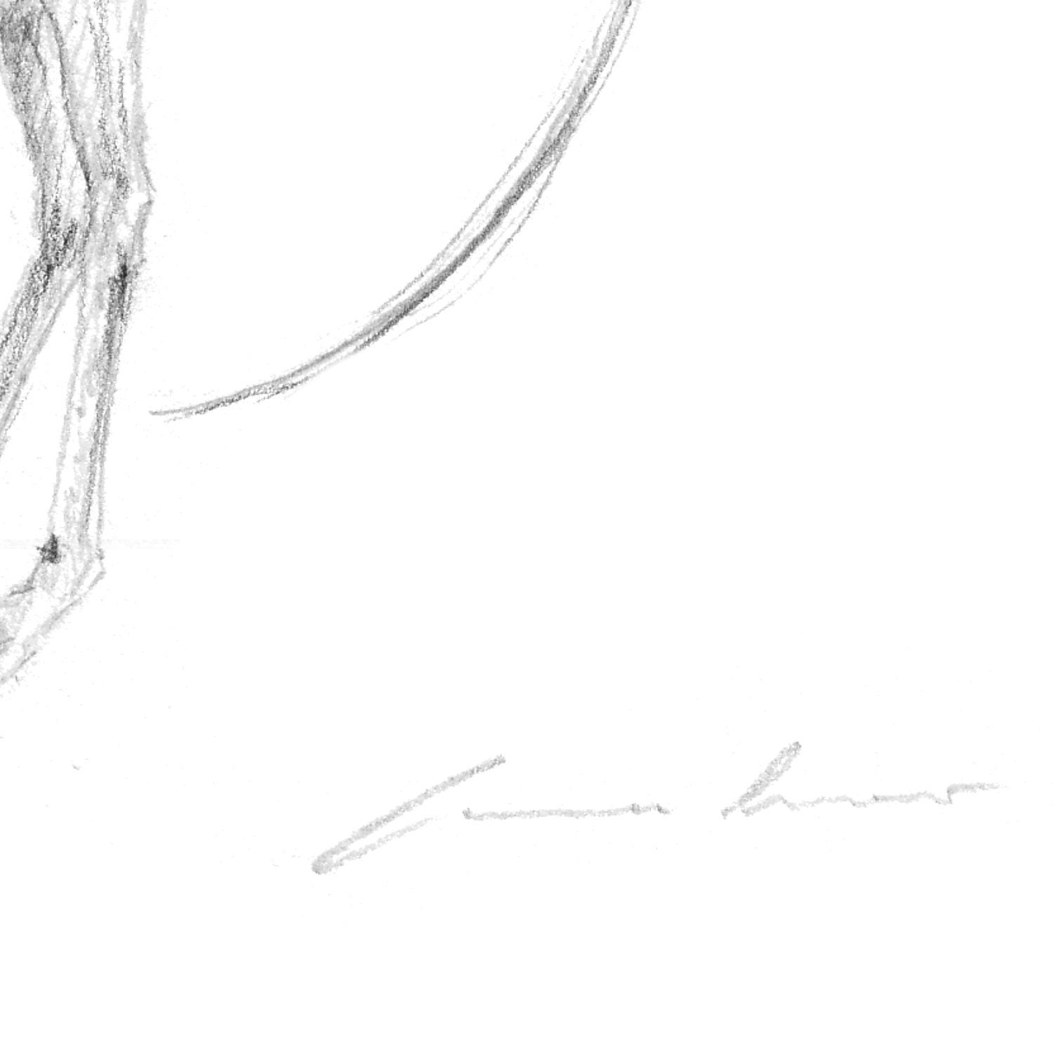 Springbok Original Pencil Drawing, Contemporary African Art, Wildlife ...