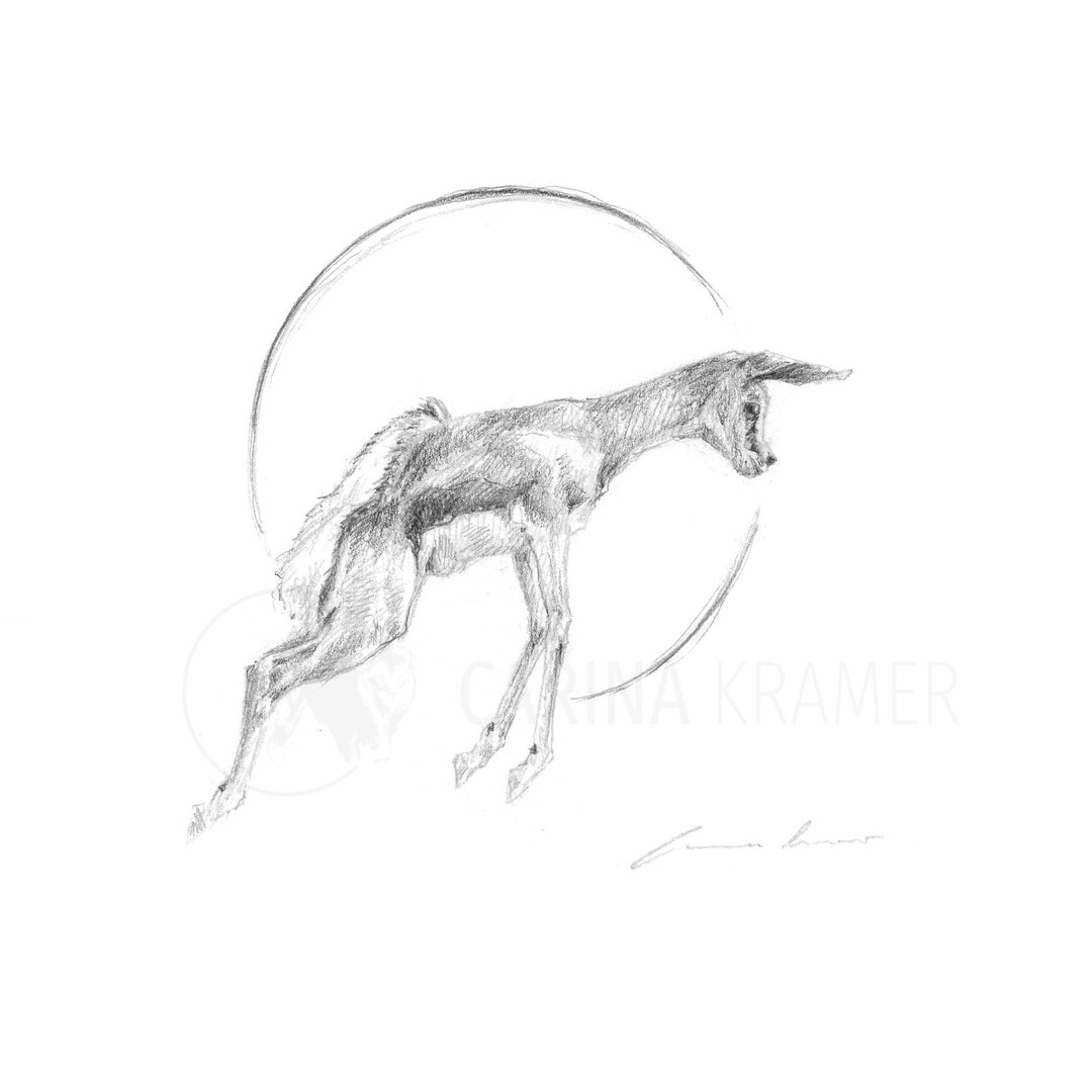 Springbok Original Pencil Drawing, Contemporary African Art, Wildlife ...