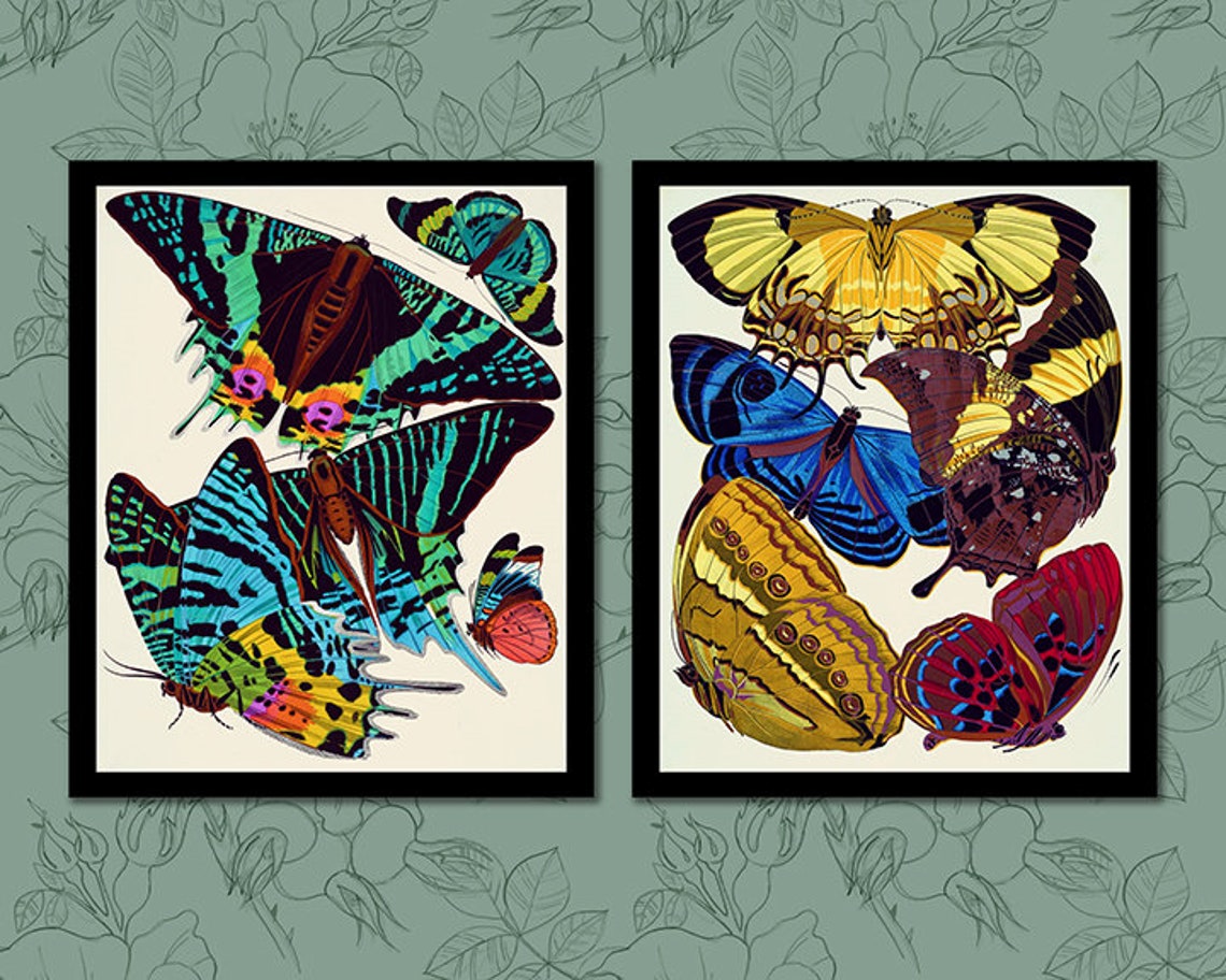 Art Deco Butterfly Illustrations From Historical Sources - Etsy