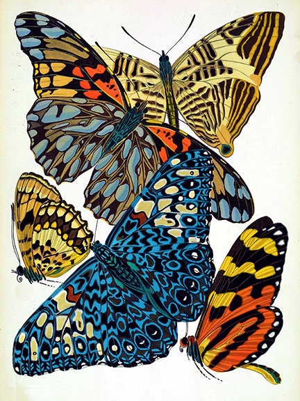 Art Deco Butterfly Illustrations From Historical Sources - Etsy
