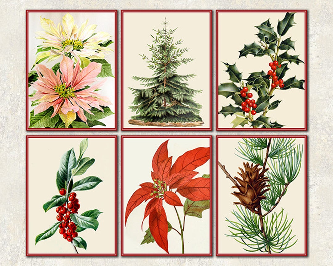 Christmas Botanical Prints - Etsy