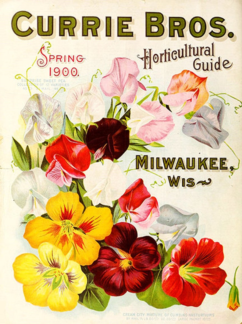 Seed Catalog Covers From 1900 Antique Botanical Print Set | Etsy