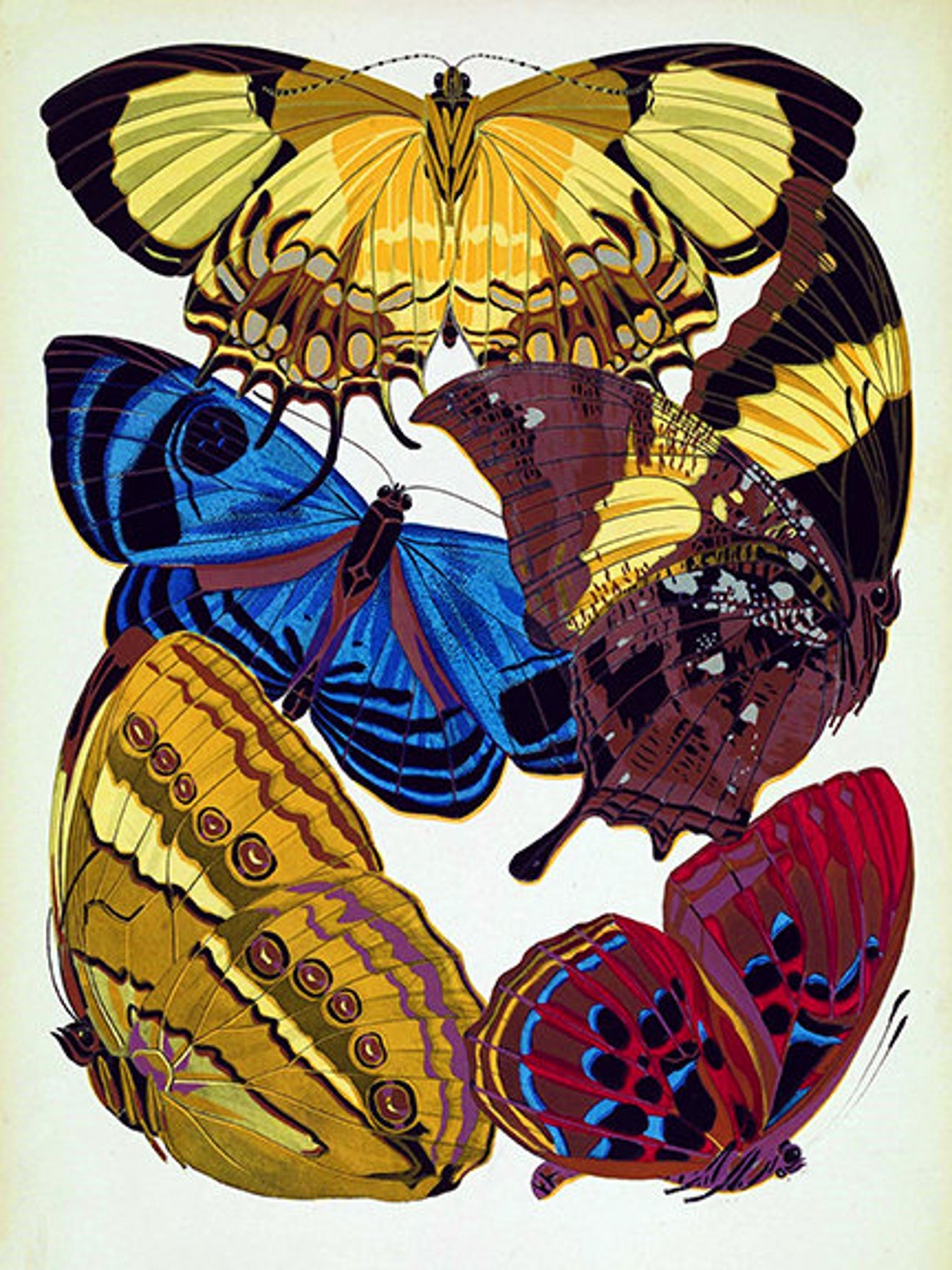 Art Deco Butterfly Illustrations From Historical Sources - Etsy