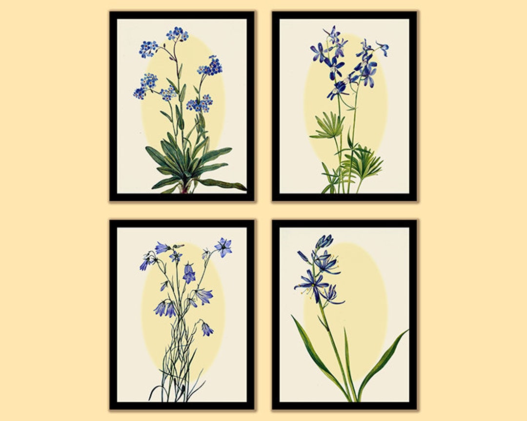 French Botanical Print Blue Wild Flowers, Antique Print Set - Etsy