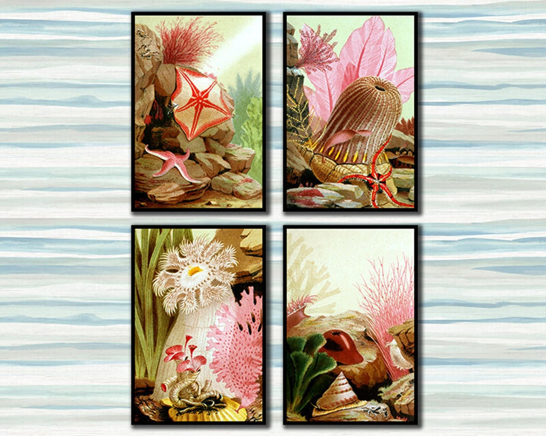 Sea Life Prints - Etsy