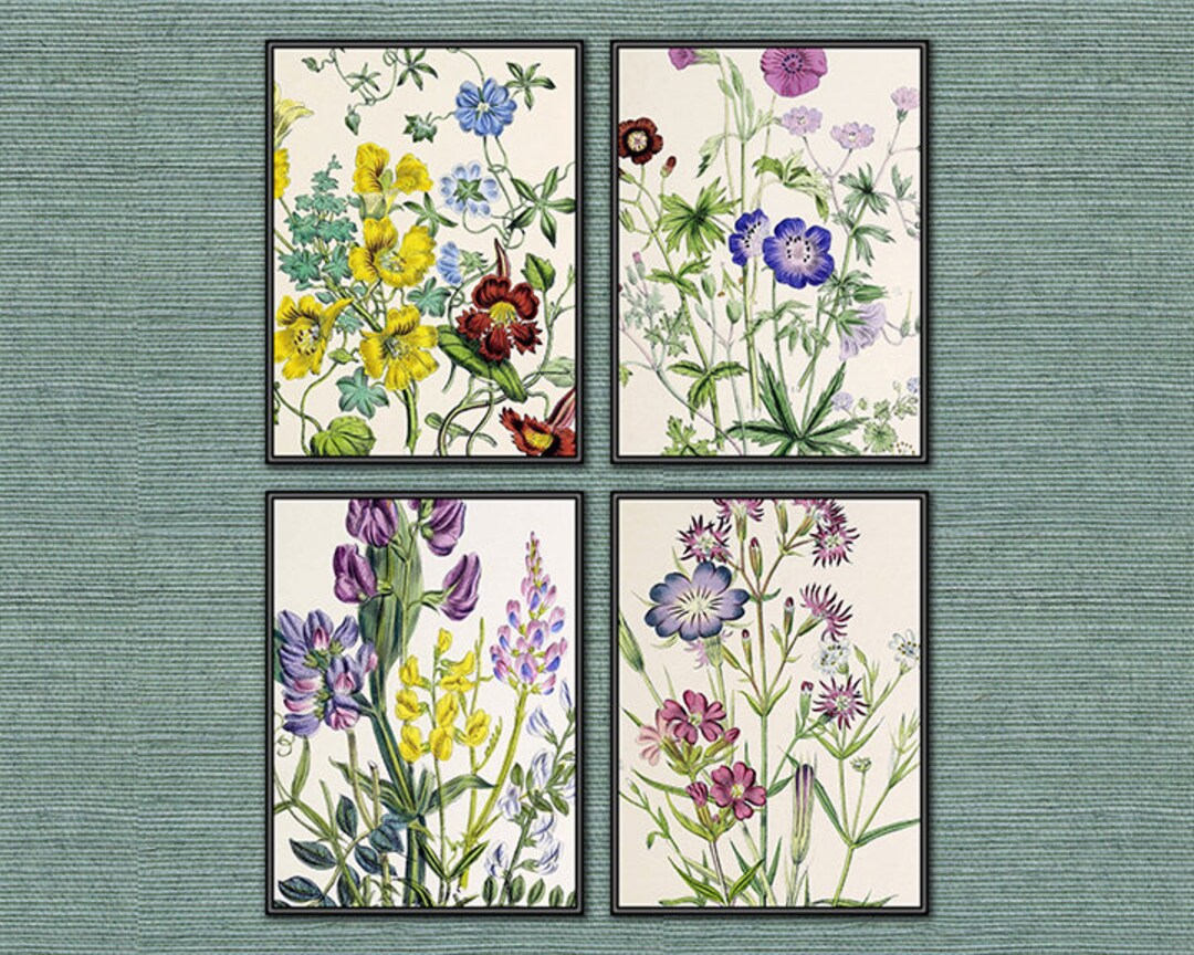 Floral Botanical Print Set From a Nineteenth Century Journal - Etsy