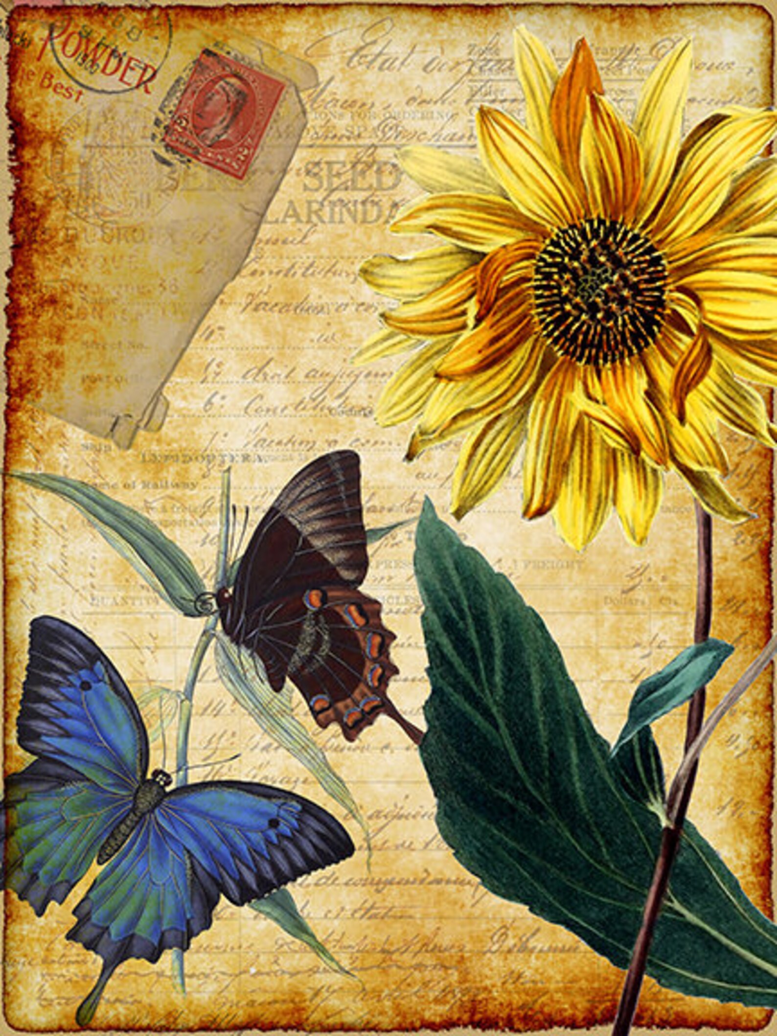 Sunflower and Blue Butterfly Shabby Chic Collage Print - Etsy