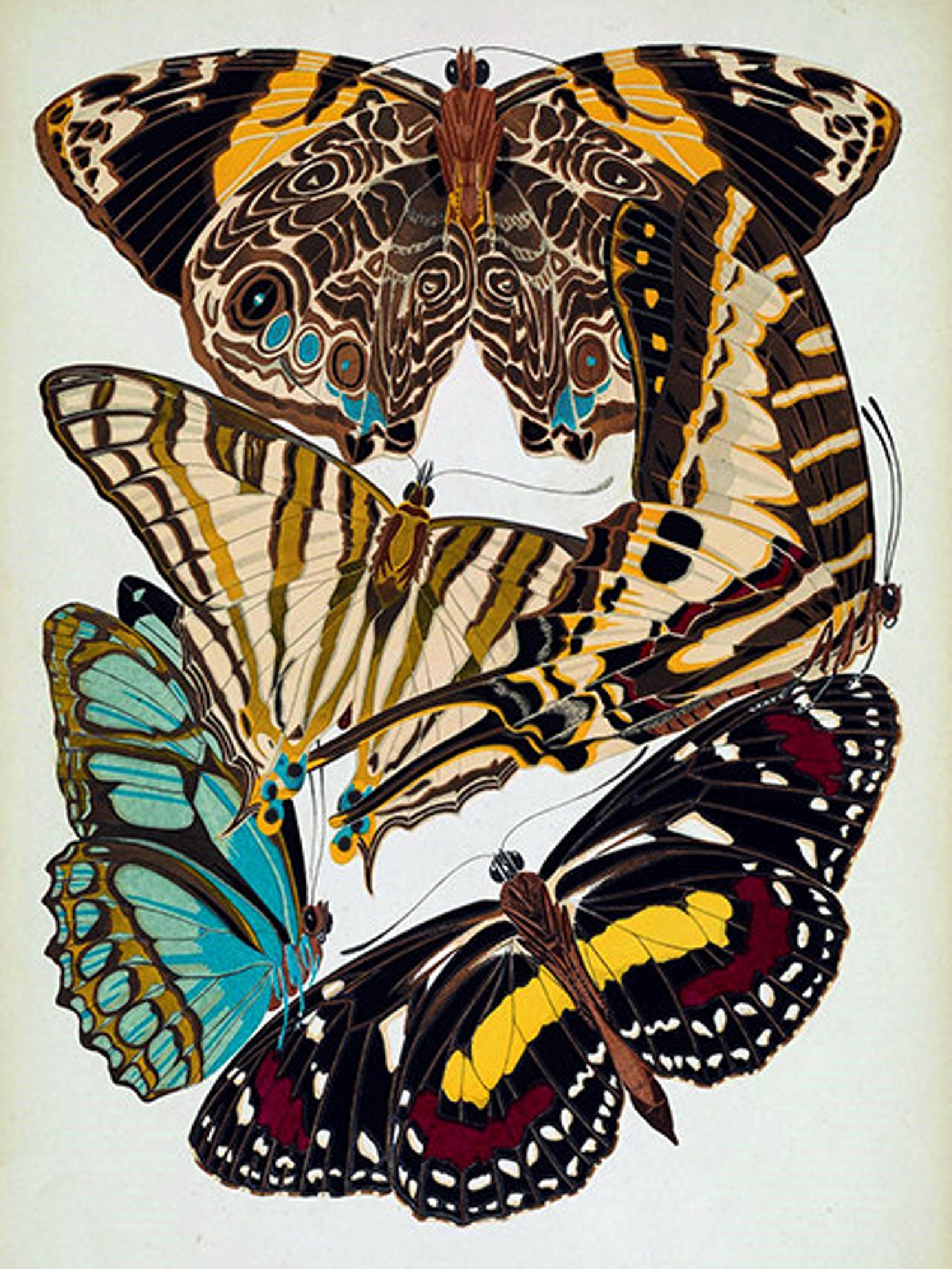 Art Deco Butterfly Illustrations From Historical Sources - Etsy