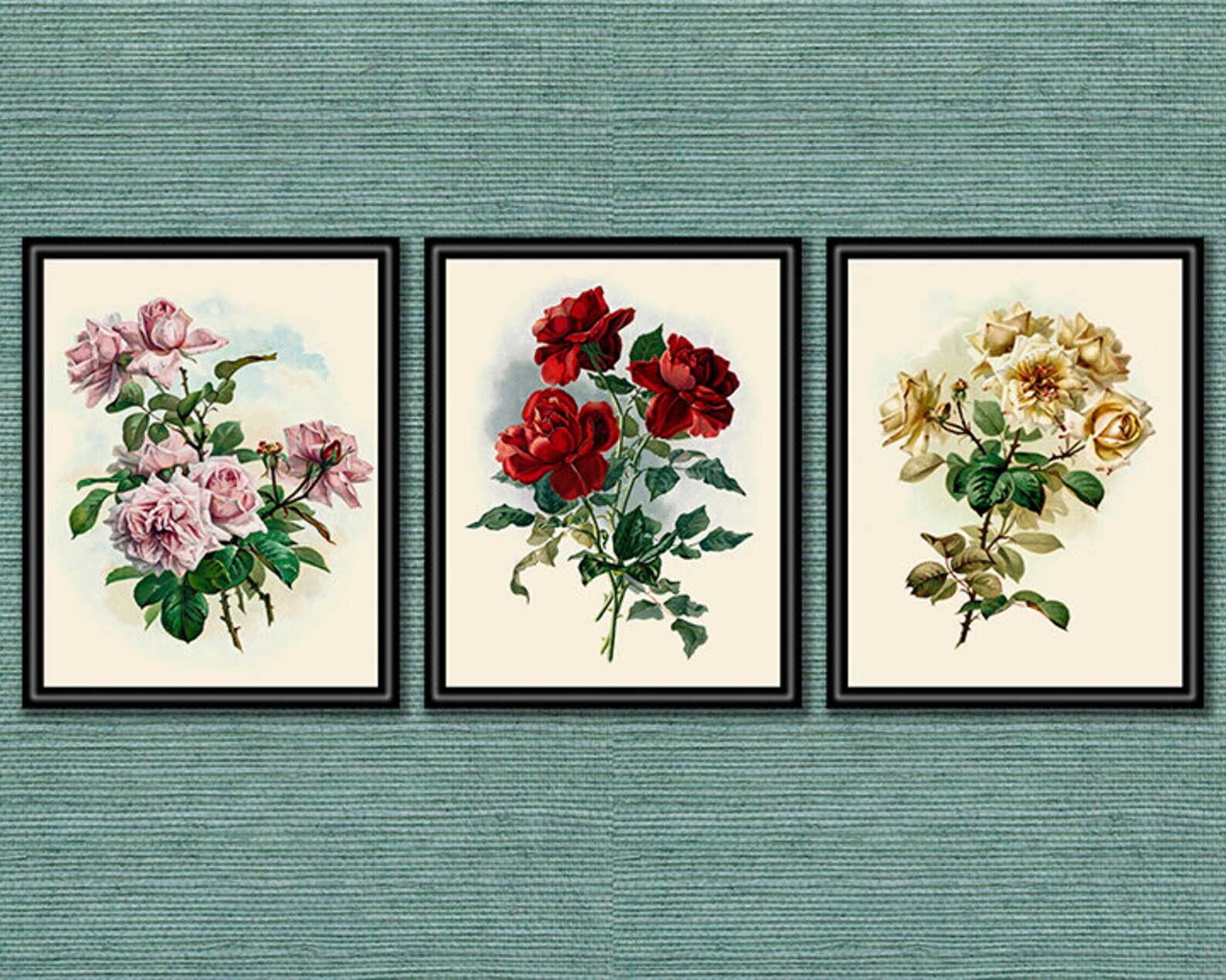 Classic Rose Botanical Prints - Etsy