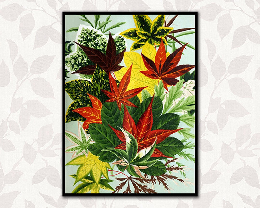 Autumn Leaves #2 Botanical Print - Etsy