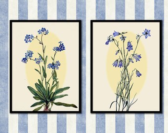 French Botanical Print Blue Wild Flowers Antique Print Set | Etsy
