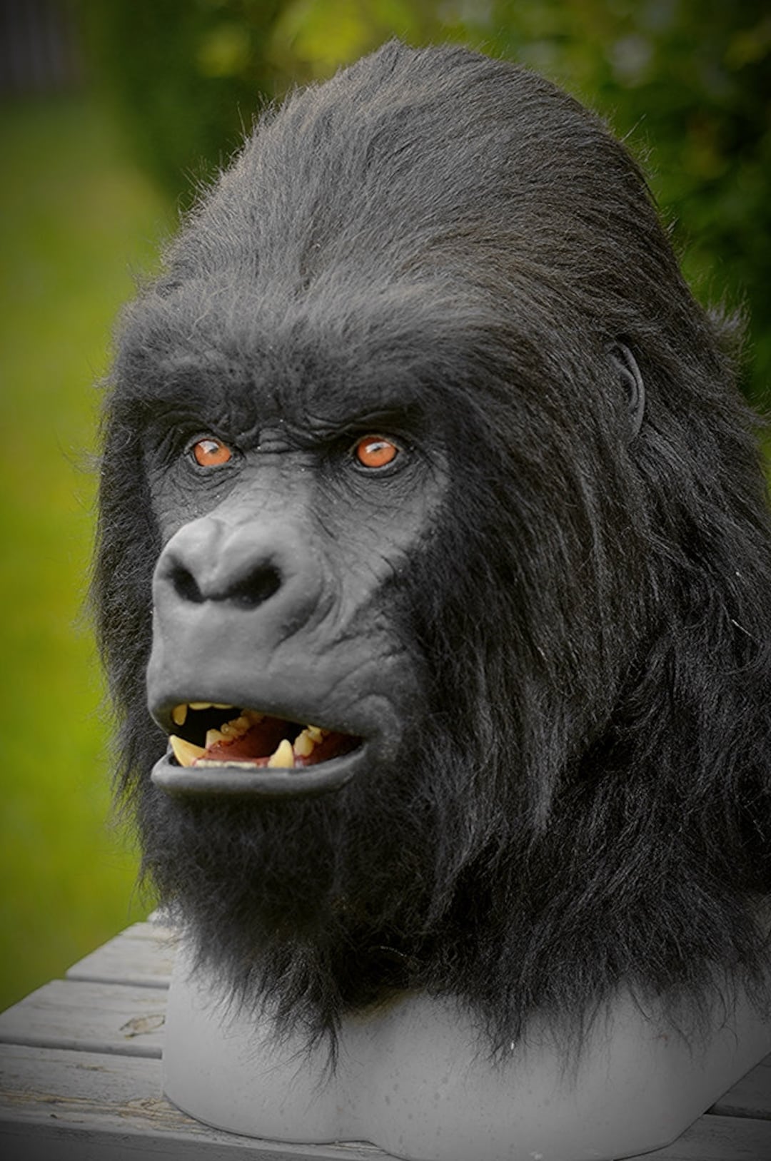 Gorilla Realistic Display Mask Bust - Etsy