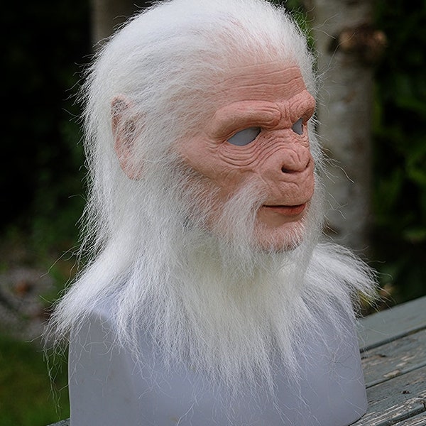 Planet of the Apes Costume - Etsy