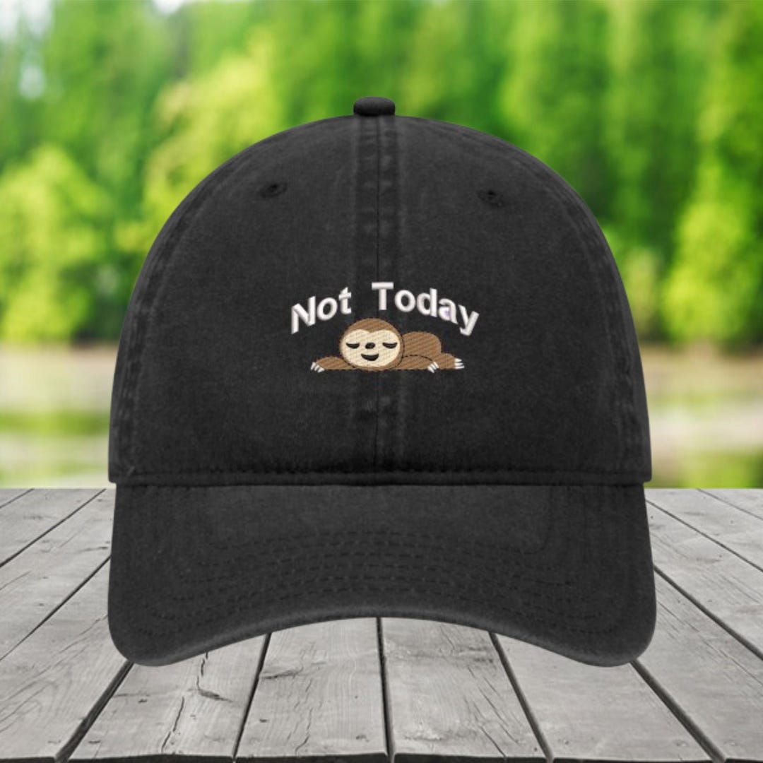 Not Today Hat, Sleepy Sloth Hat, Funny Hat, Funny Gift Idea, Lazy Day ...